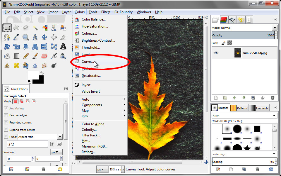 Remove Color Casts With GIMP